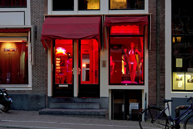 Statt Fenster mit Nackten: Amsterdam will Mega-Puff bauen!