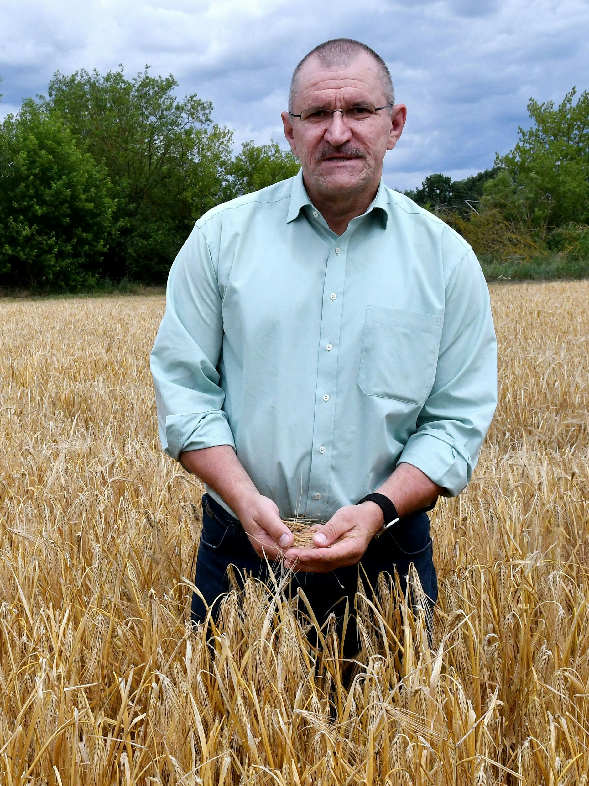 Bauernpräsident Henrik Wendorff: Wir Landwirte sind nicht schuld an den ...