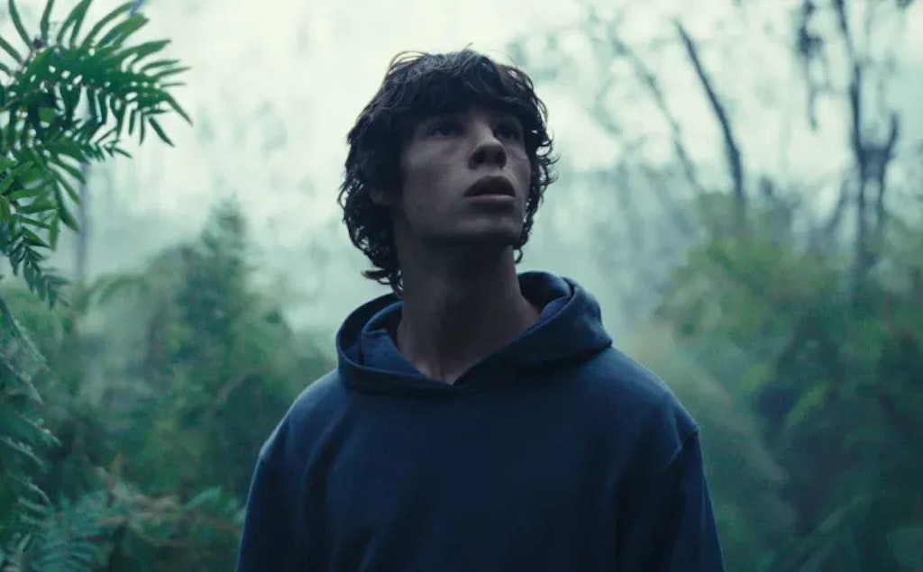 „Animalia“: Wahnsinnig guter Body-Horror-Film twistet Franz Kafka in ...