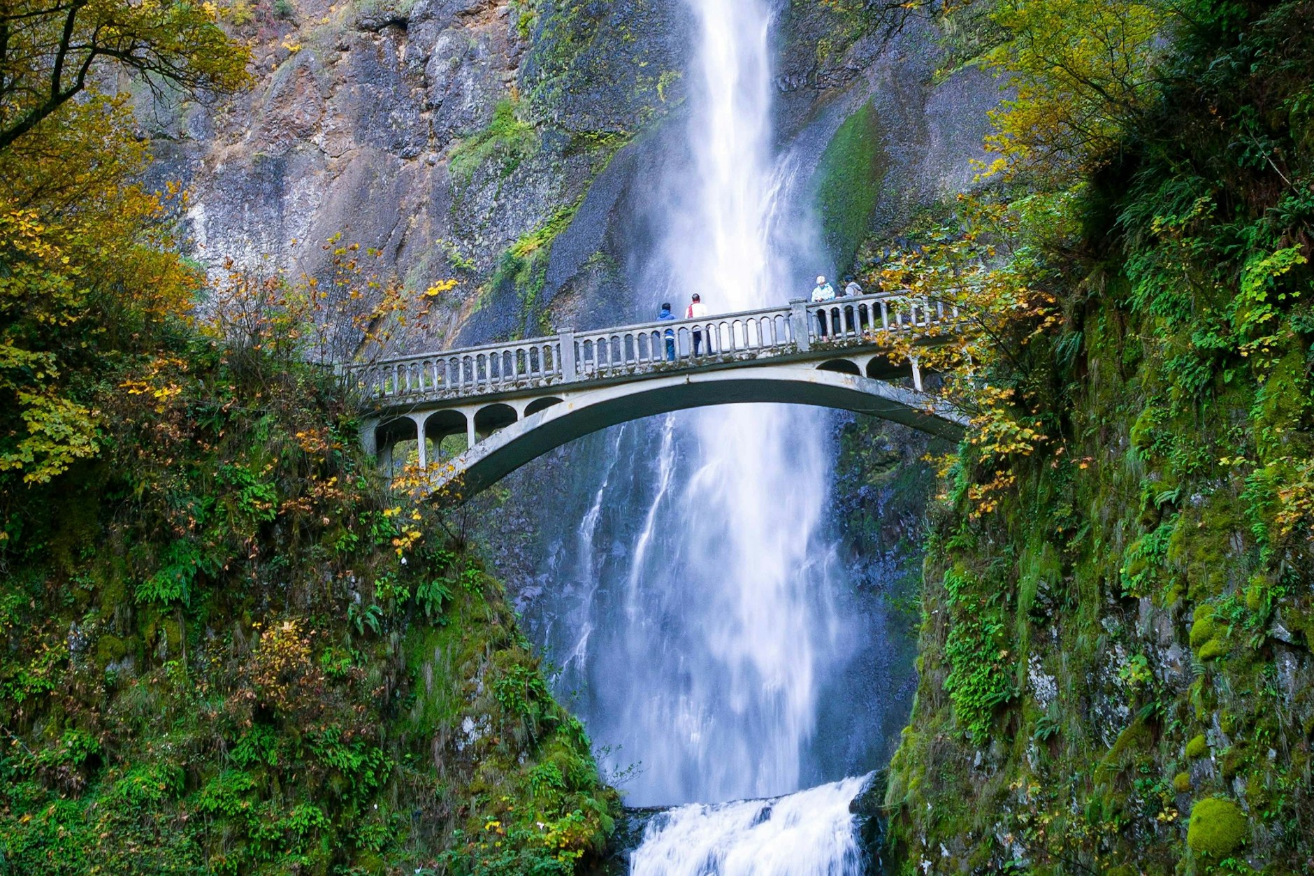 Portland Calling: Wo Hipster-Angeberei auf unberührte Natur trifft