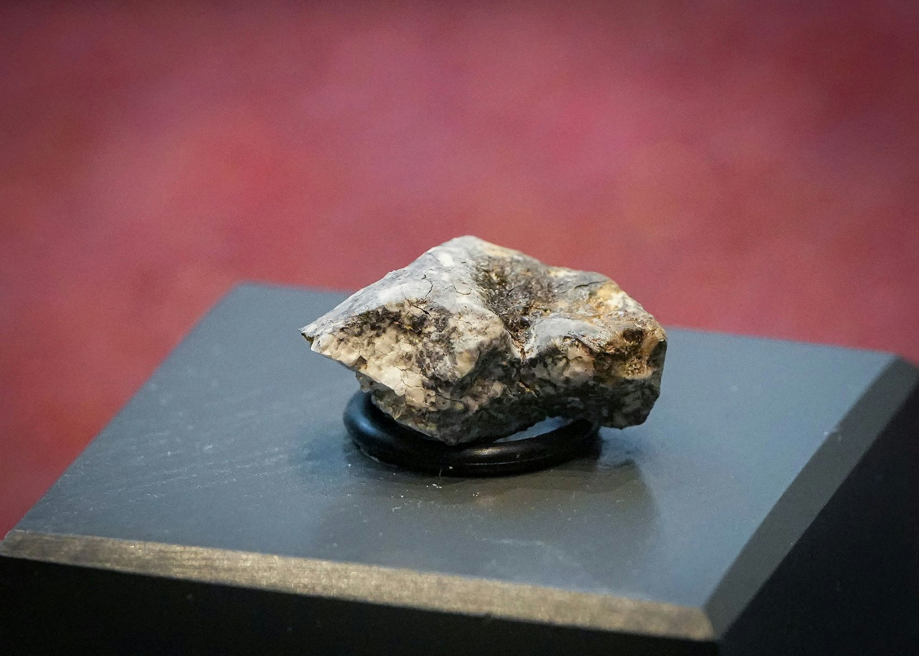 „Extrem wertvoll“: Seltene Meteoriten im Museum