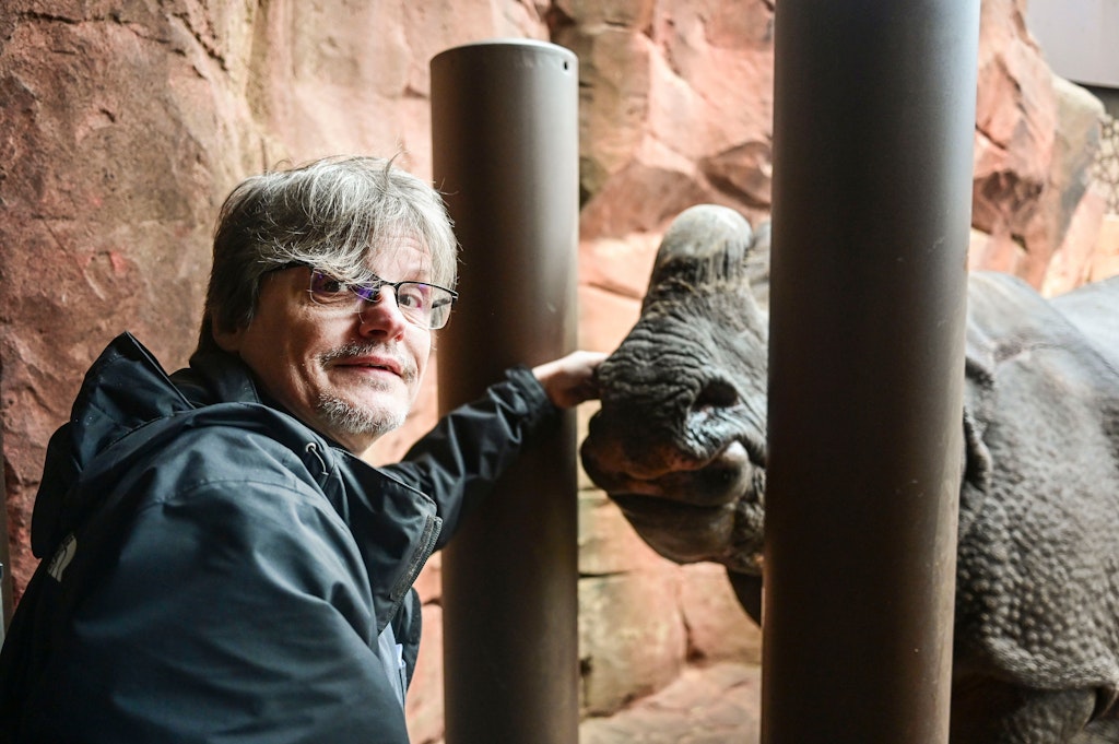 MIT VIDEO 1,8 Tonnen: Wagen Sie mal ein Date mit Zoo-Schwergewicht Betty