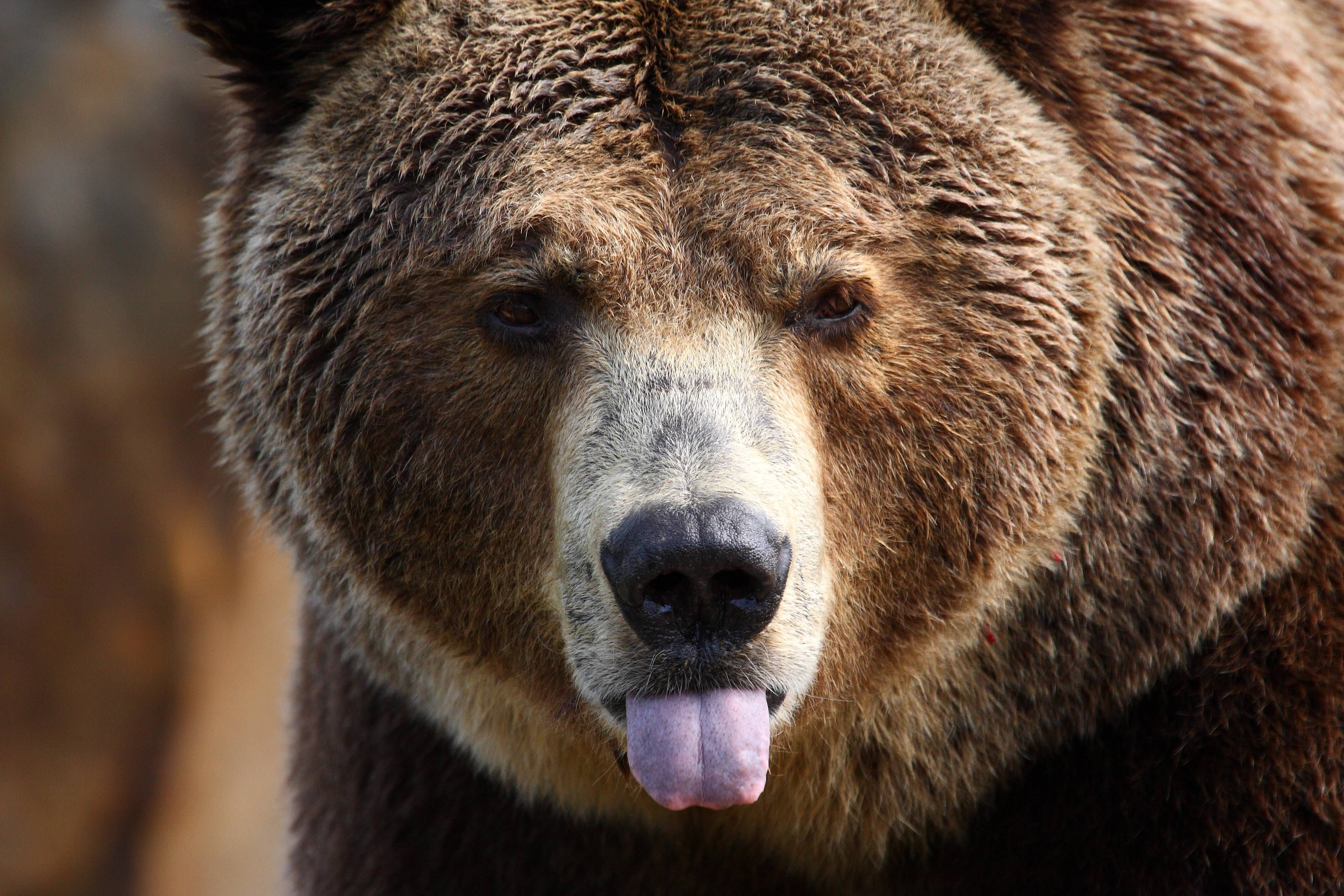 Schaut auf diesen Titel! 80 Jahre Berliner Zeitung – und noch viel älter