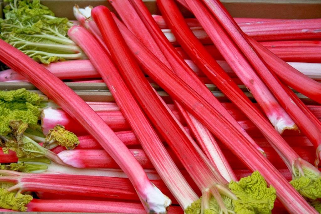 Es ist Rhabarber(-Barbara)-Saison im Internet!
