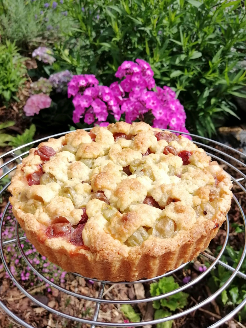 Omas Rezept für Stachelbeerkuchen: Obstkuchen mit Pudding aus der DDR