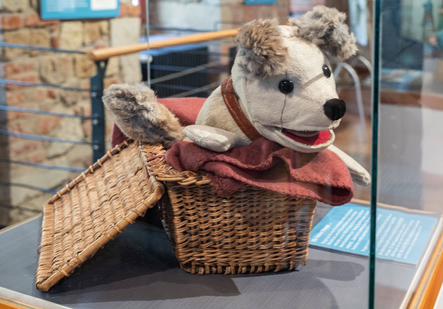 DDR-Fernsehstar Taddeus Punkt: Was wurde aus seinem Hund Struppi?