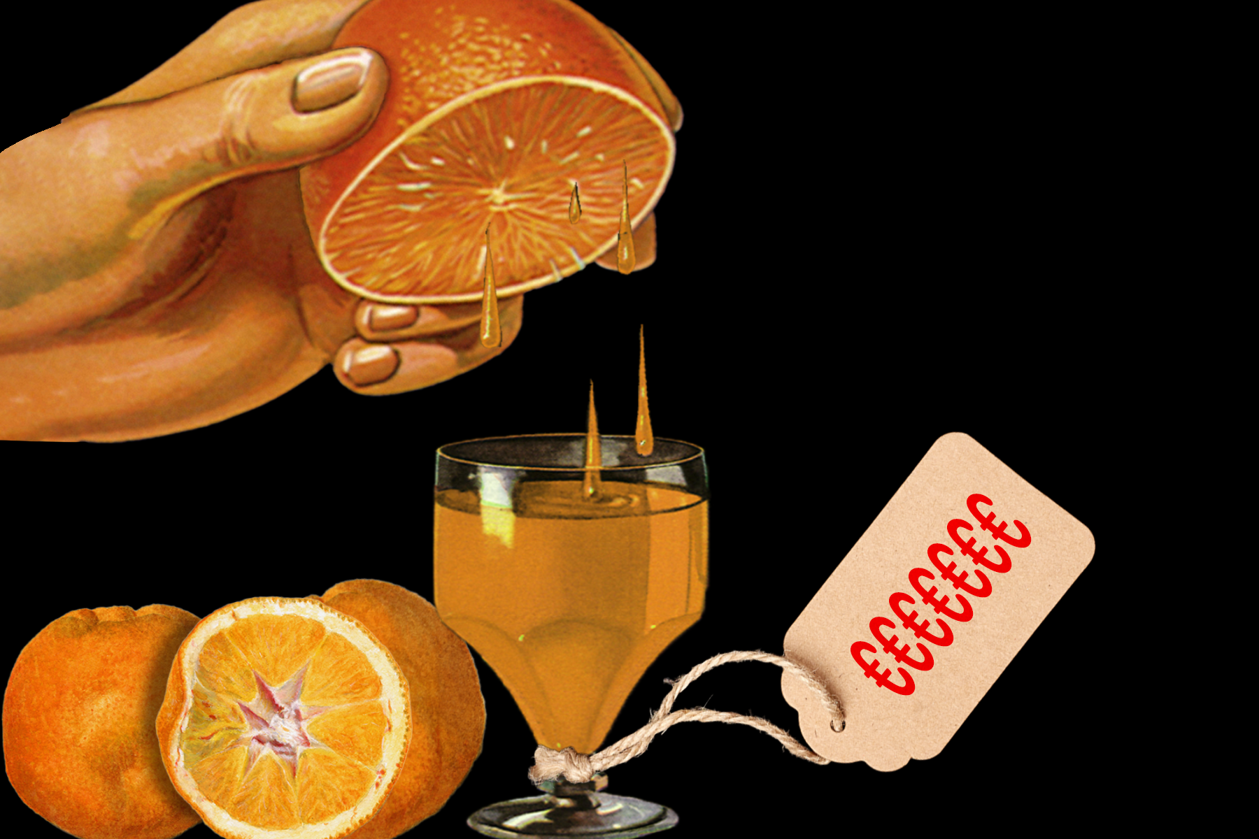 AfD-Chefin Alice Weidel wird zum Techno-Star: „Niemand geht an mein Schnitzel!“