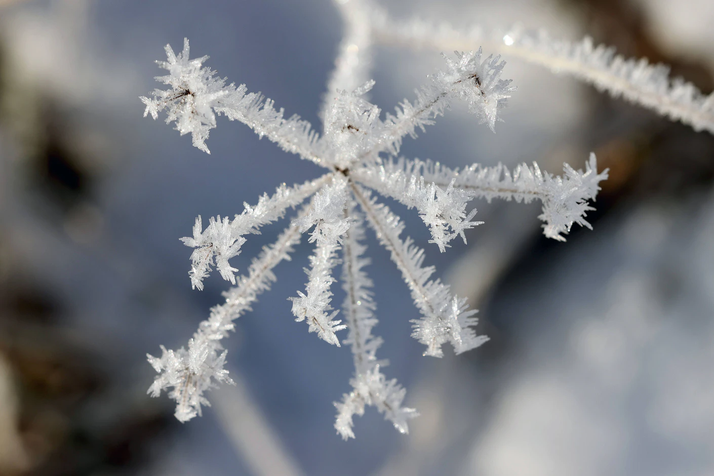 Wetter-Albtraum: Experten warnen – Polarpeitsche mit minus 30 Grad ...