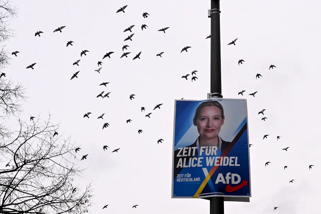 Gewinne für AfD, Verluste für SPD: Thema „Migration“ für fast alle ...