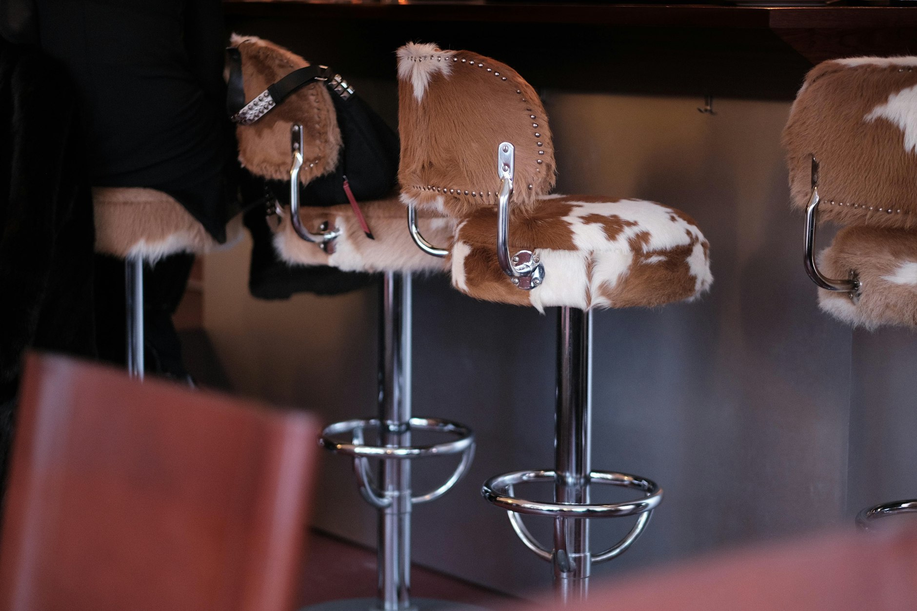 Pinci in Berlin-Mitte oder Pluto in Prenzlauer Berg: Welches neue Lokal ...