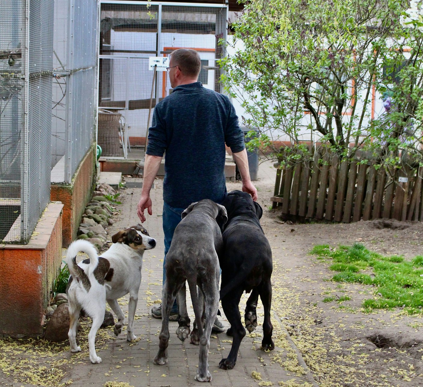 Berlins Tierretter: Sie müssen raus aus dem Haus, weil es den Nachbarn ...