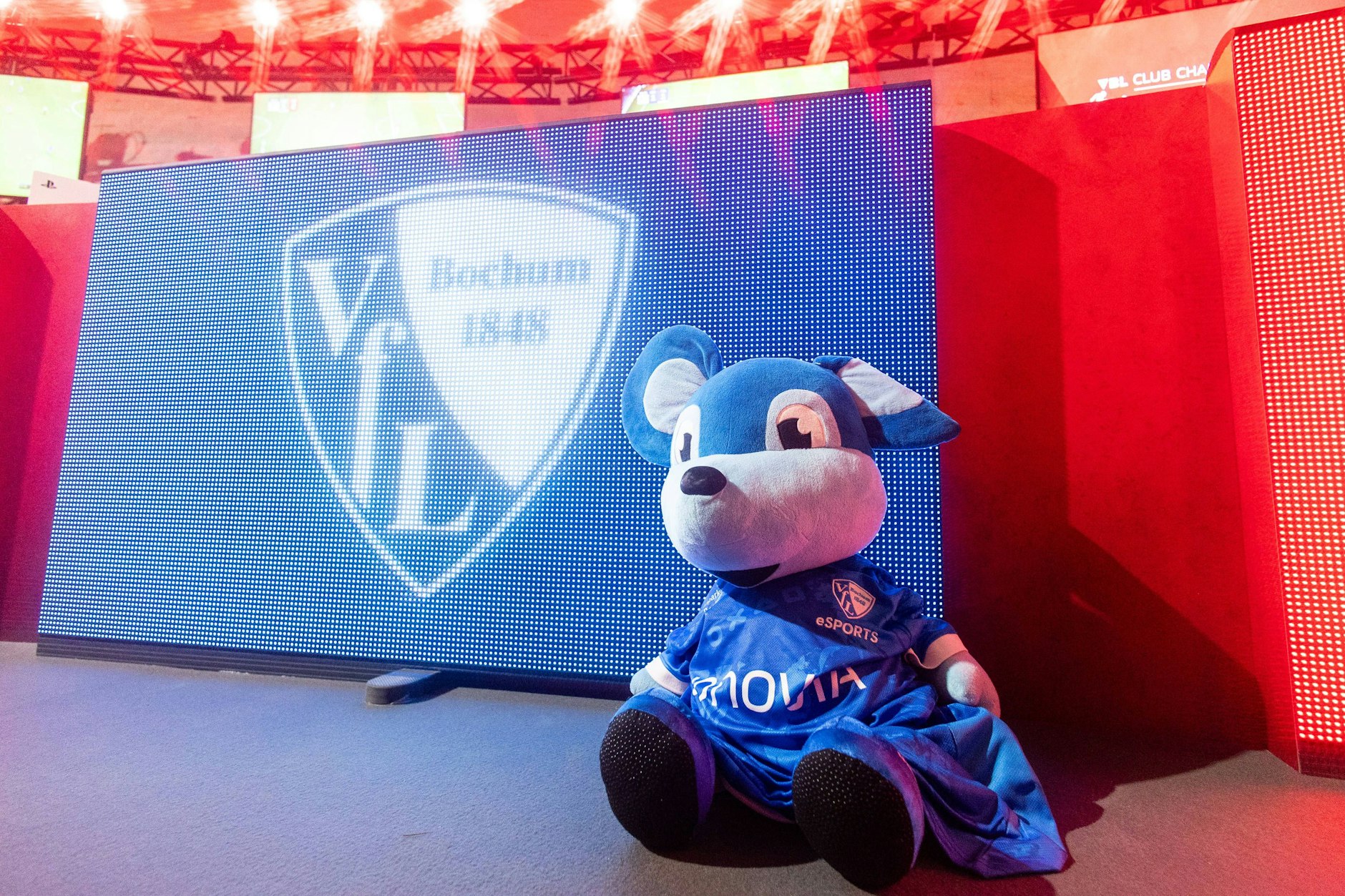 Fan-Kolumne 1. FC Union Berlin: Wenn aus der blauen Maus ein kleines ...