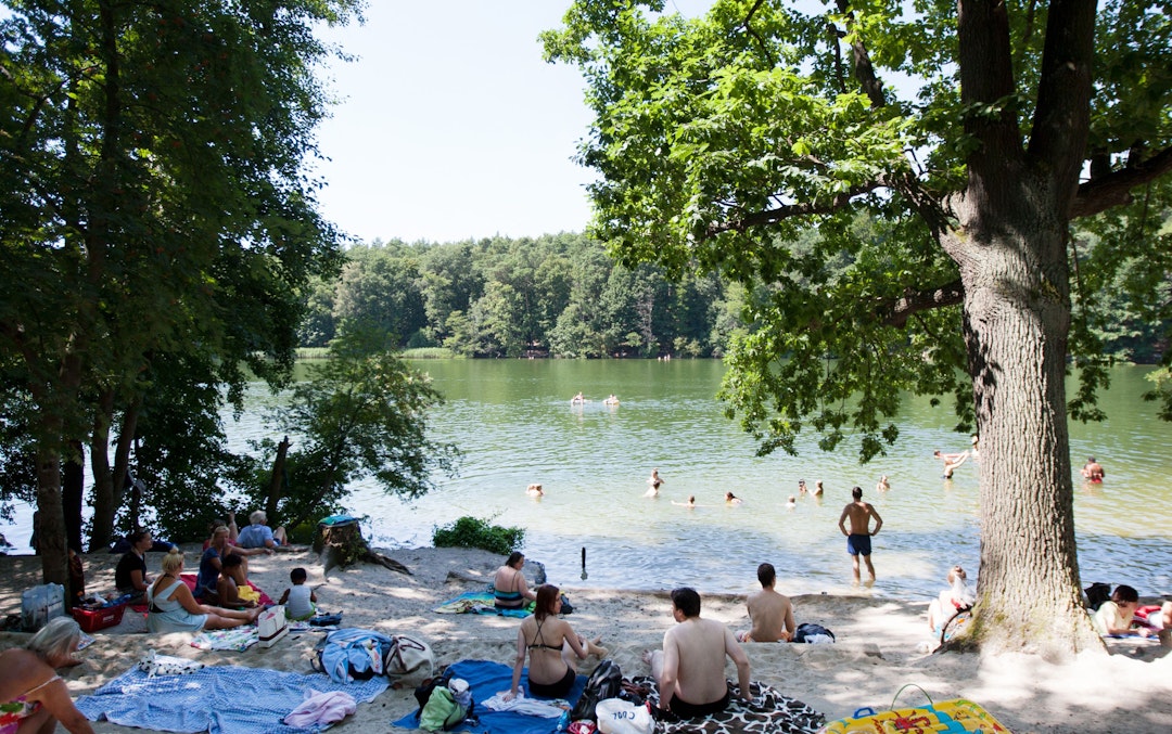 New York Times berichtet über Berlins Krumme Lanke: Idyll mit „brutaler ...