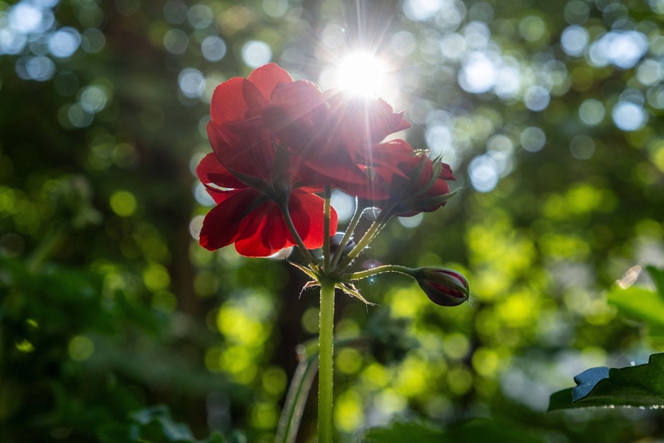 Bokep gatuzo asia i would recommend her definitely.